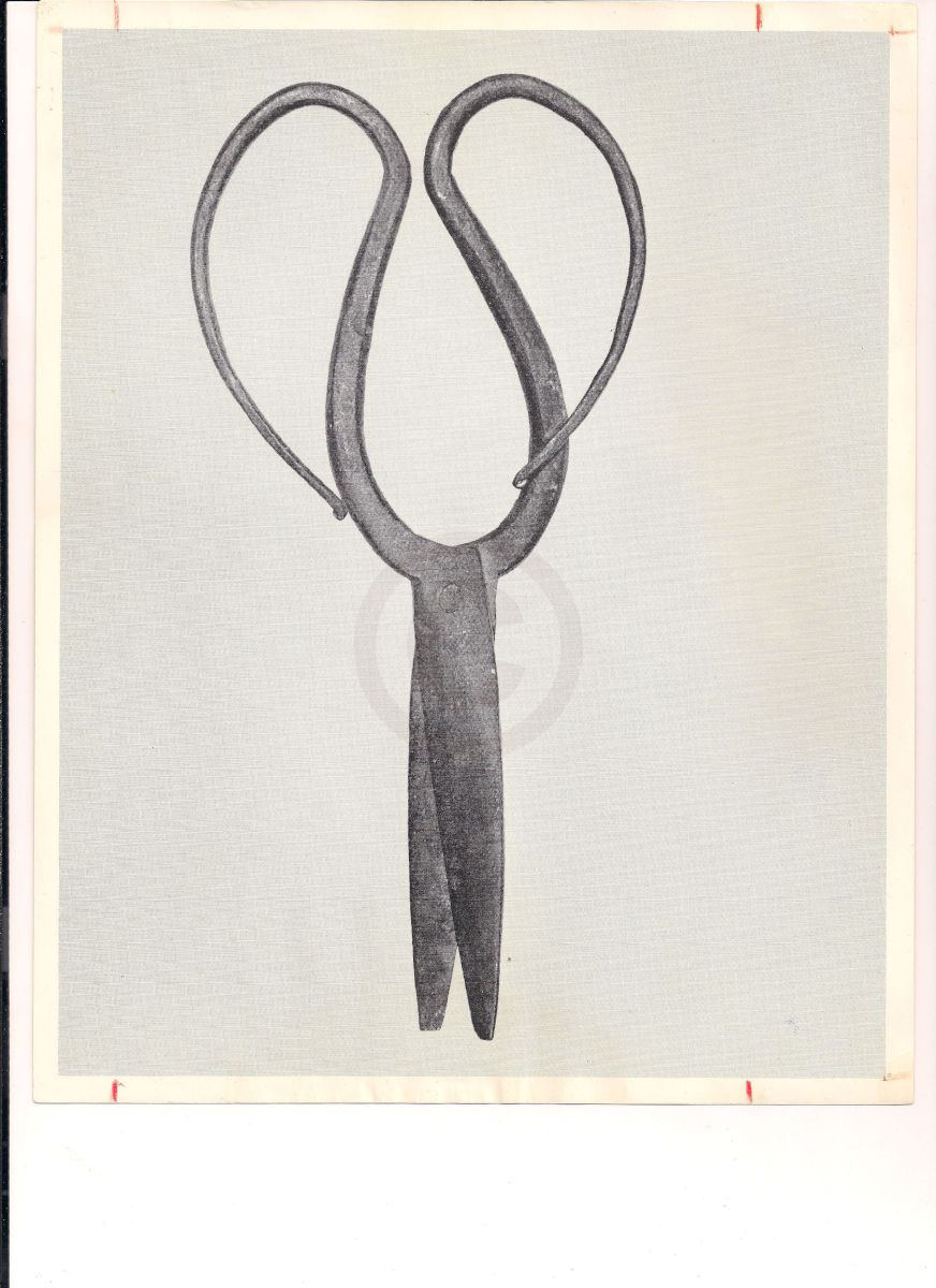 Scissors - Oak Island, Nova Scotia