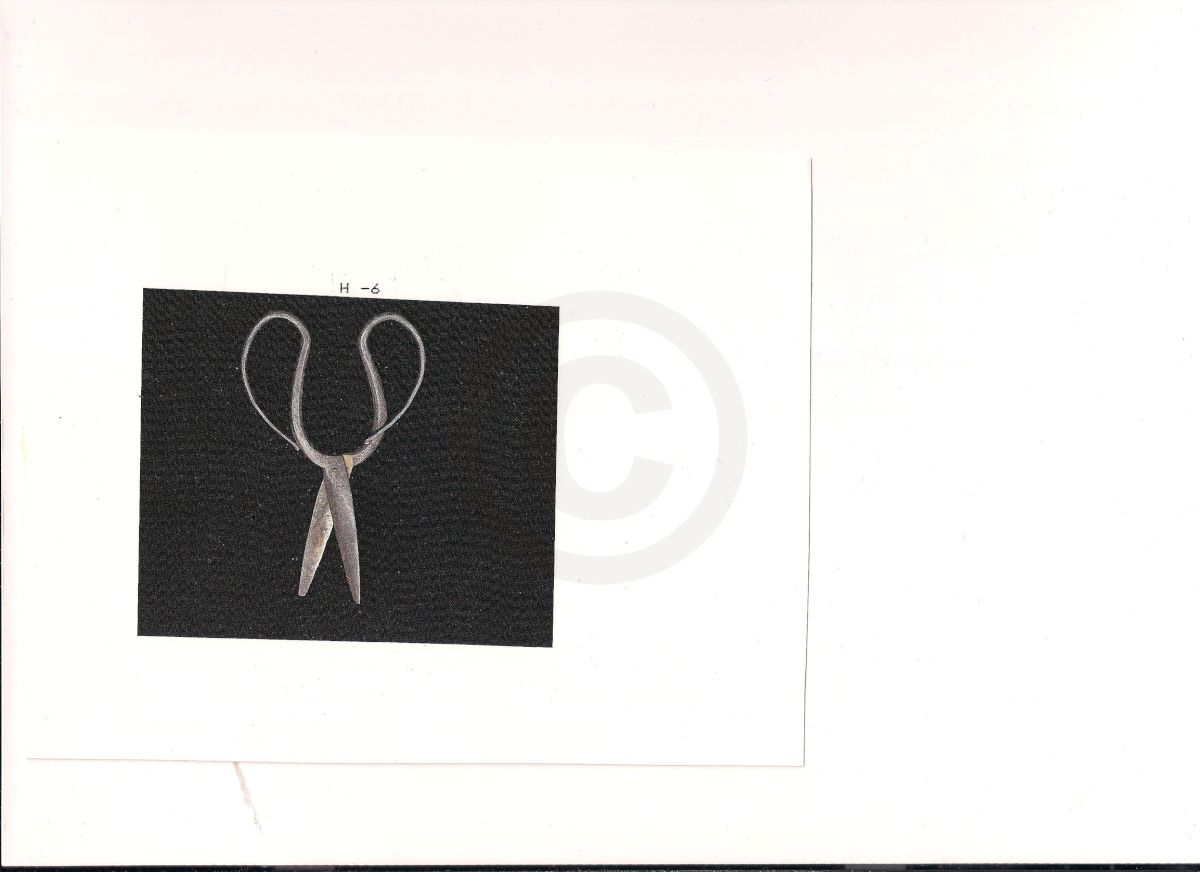 Scissors - Oak Island, Nova Scotia